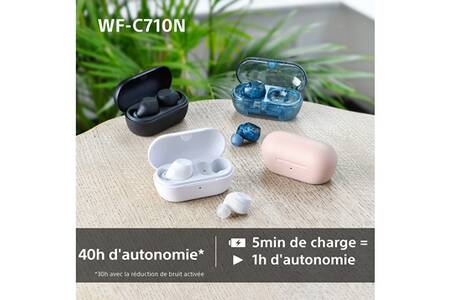 Ecouteurs Sony sans fil Bluetooth Multipoint WF-C710N avec reduction de ...