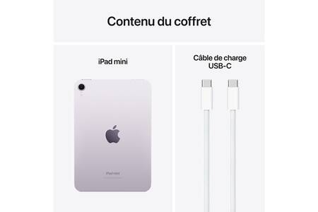 iPad Apple Mini 8,3" 256 Go Mauve Wifi 7 ème génération 2024 | Darty