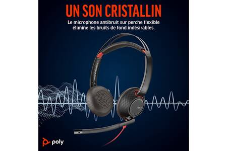 Casque PC Poly Blackwire C5220 USB-A | Darty