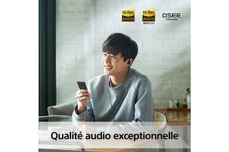 Lecteur audio vidéo MP3-MP4 Sony BALADEUR WALKMAN ANDROID NW-A306 32GO ...