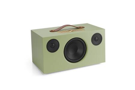 Enceinte sans fil Audio Pro C10 MKII SAGE GREEN | Darty