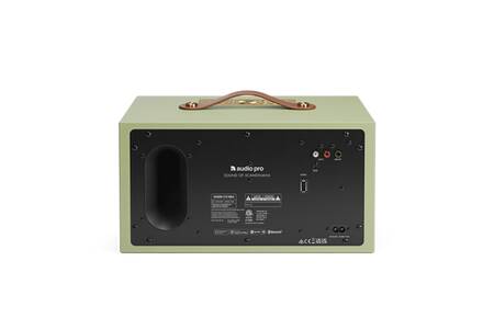 Enceinte sans fil Audio Pro C10 MKII SAGE GREEN | Darty