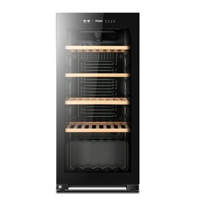 Cave de vieillissement Haier WS105GA | Darty