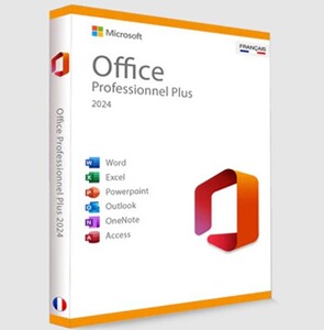 Logiciel Microsoft Office 2024 Pro Plus 1 PC pour Windows 10 et 11 | Darty