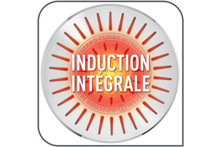 Marmite / Faitout Tefal Emotion Faitout inox 24 cm + couvercle en verre E3014604 | Darty