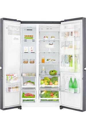 Refrigerateur americain Lg GSJ470DIDV | Darty