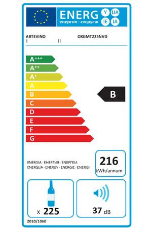 Groupe filtrant Roblin ALTIMA 560 INOX -6208172 | Darty