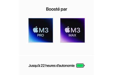 MacBook Apple MacBook Pro 16'' 2 To SSD 36 Go RAM Puce M3 Max CPU 14 ...