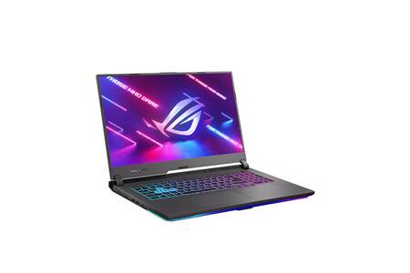PC portable Asus ROG STRIX-G17-G713QR-K4127W Gris | Darty