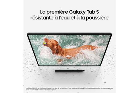 Tablette tactile Samsung Galaxy Tab S9 11" 128Go WIFI ANTHRACITE - SM-X710NZAAEUB Samsung Galaxy ...
