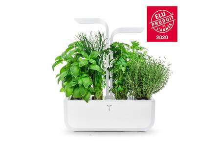 Potager d’intérieur Veritable POTAGER CLASSIC | Darty