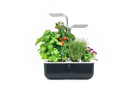 Potager d’intérieur Veritable POTAGER SMART BLACK | Darty