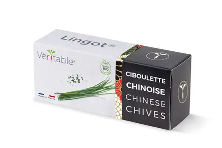 Potager d’intérieur Veritable Lingot® Ciboulette chinoise BIO | Darty
