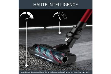 Aspirateur balai Rowenta X-Force Flex Animal Care 9.60 RH2079WO | Darty