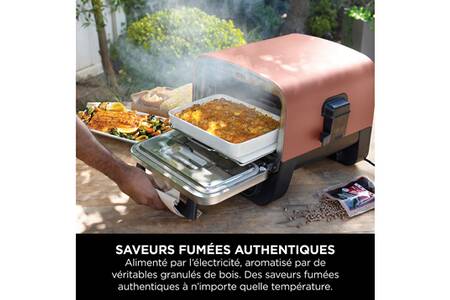 Four d'extérieur Ninja Woodfire Four d'extérieur OO101EU | Darty
