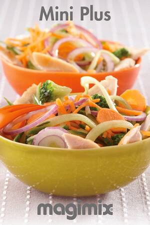 Robot multifonction Magimix MINI PLUS BLEU | Darty