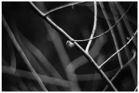 Pellicule Kodak T MAX 3200 135-36 | Darty