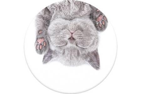 Accessoire pour téléphone mobile Popsockets PopSockets Grip Animal Cat ...