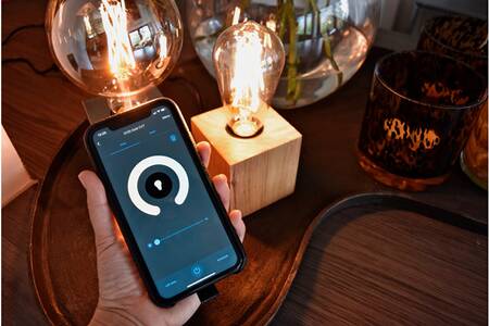 Ampoules connectées Calex LED Filament connectée Globe ambre G125 E27 | Darty